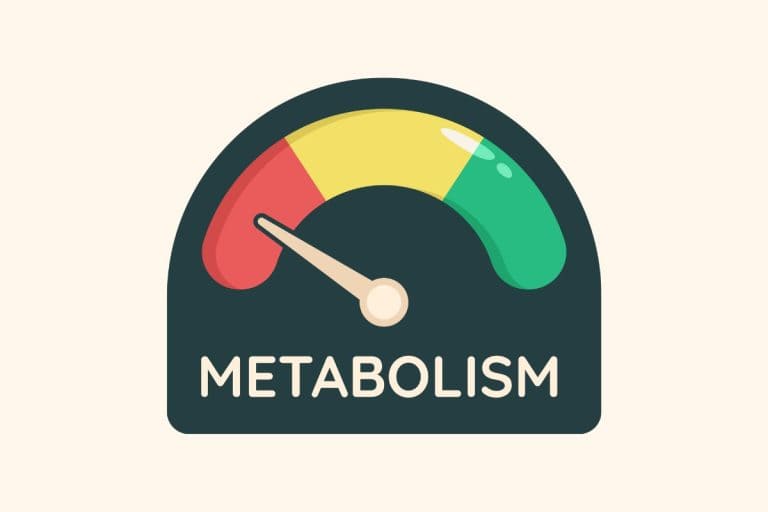 Understanding Your Metabolic Age: Key Insights for a Healthier Life - Coach
